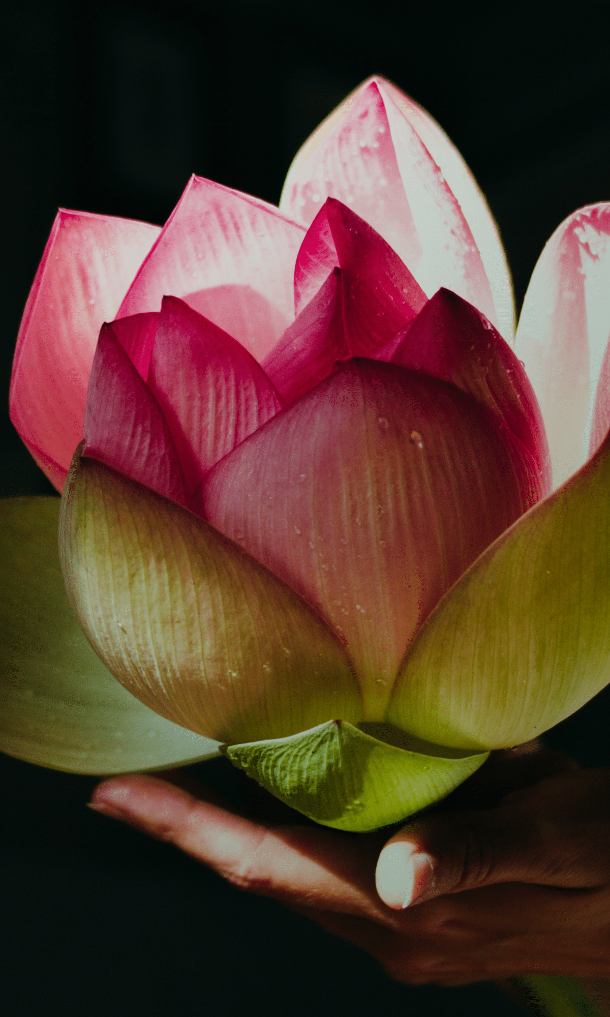 Gezichtsbehandeling Relax Extra | Wellness | Preston Palace